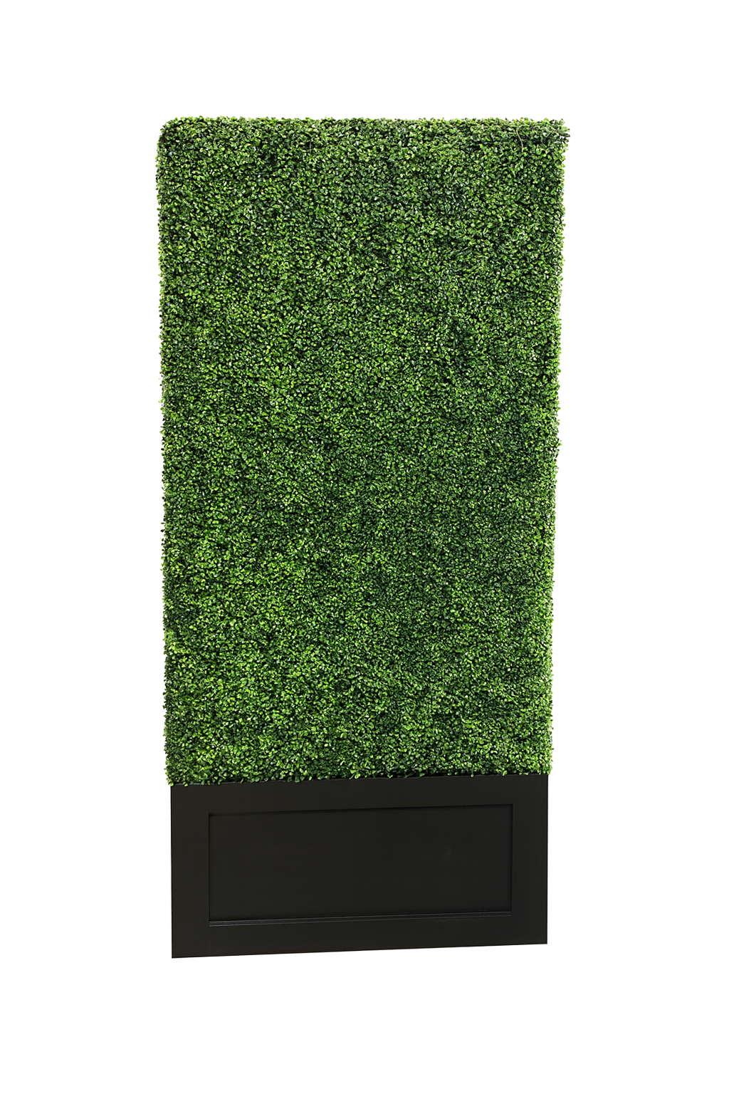 Boxwood Hedges (5) | AM PARTY RENTALS